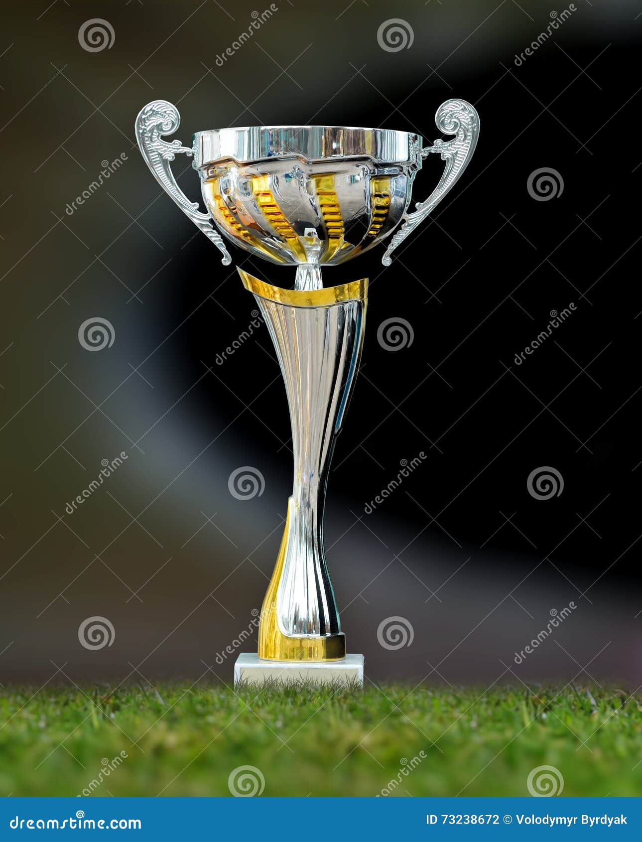 Golden trophy in grass stock photo. Image of tournament - 73238672