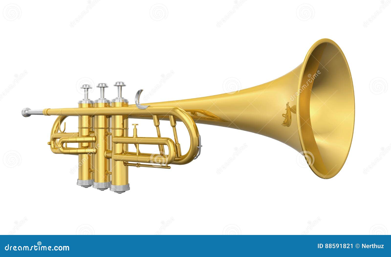 Golden Trumpet Vine, Allamanda Cathartica Drawing, Pencil Allamanda ...