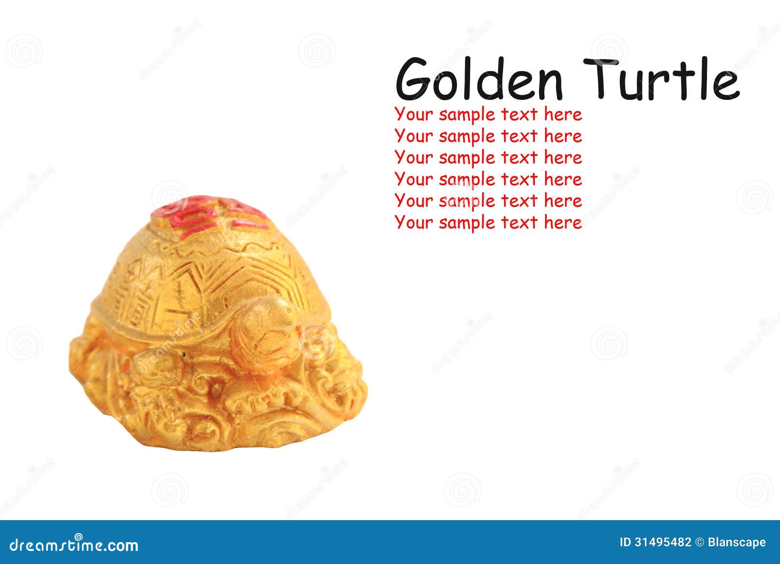 Golden Turtle Isolated on White Stock Photo - Image of sample ...