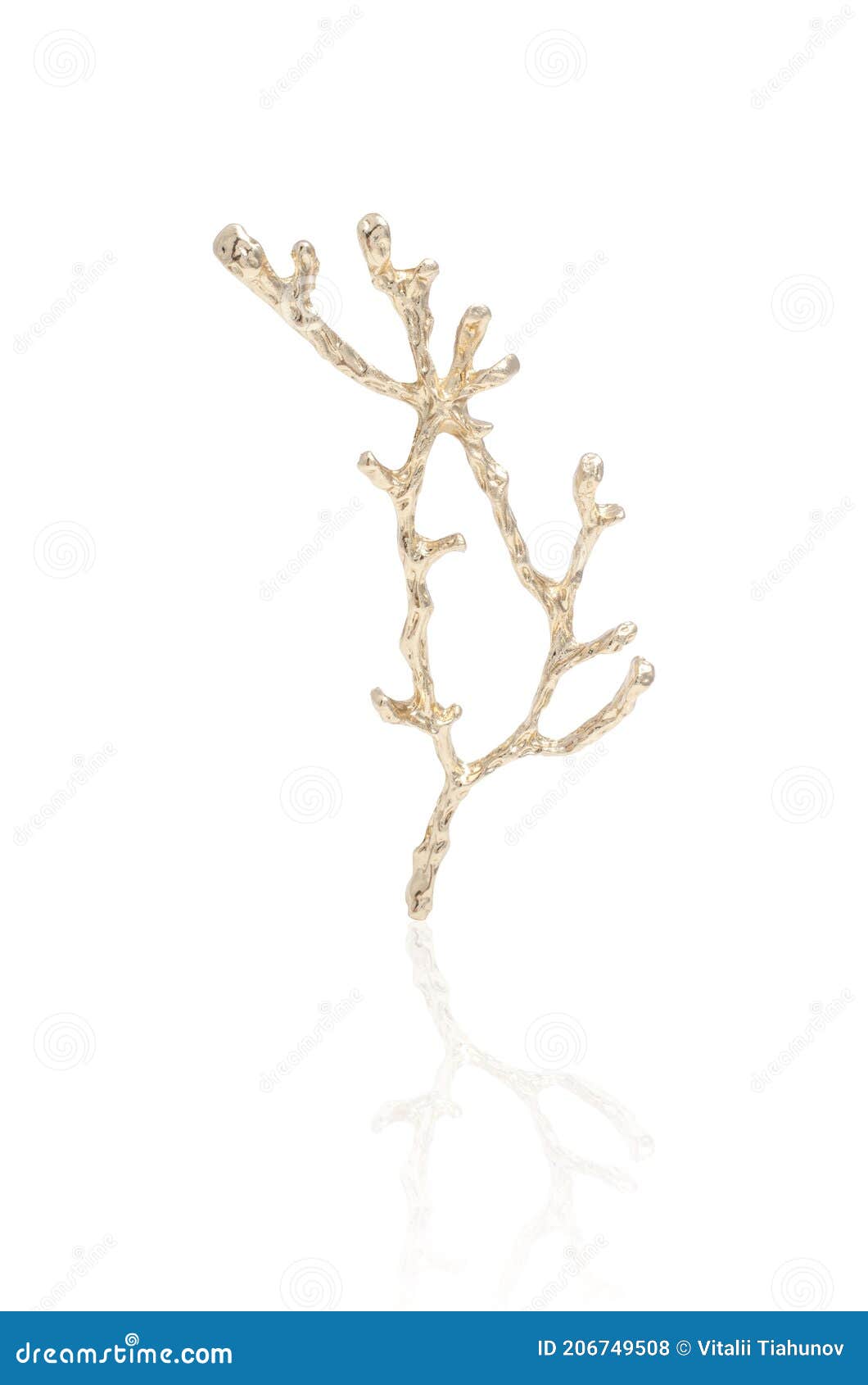 Golden Twig Isolated on White Stock Photo - Image of gold, nature ...