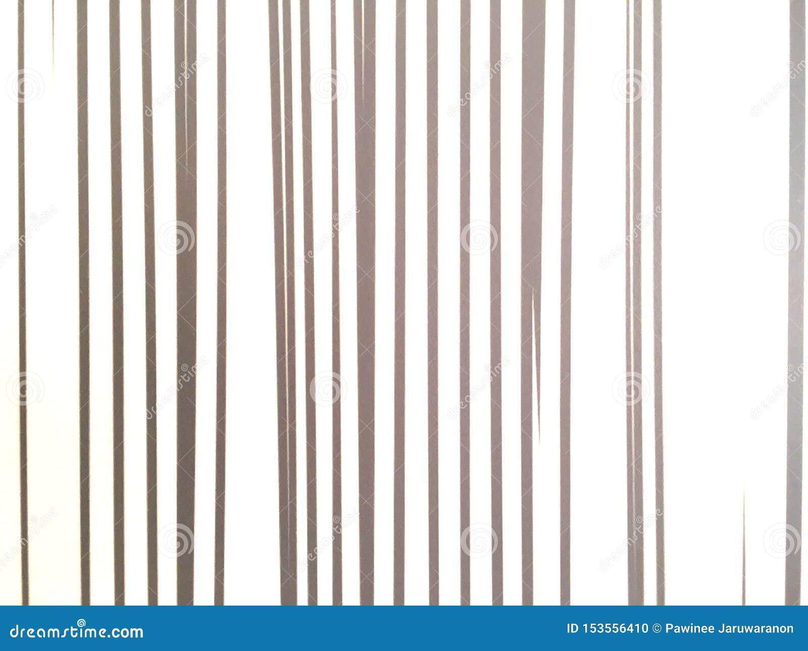 Golden Vertical Line Abstract on White Background. Art Pattern of Wall ...