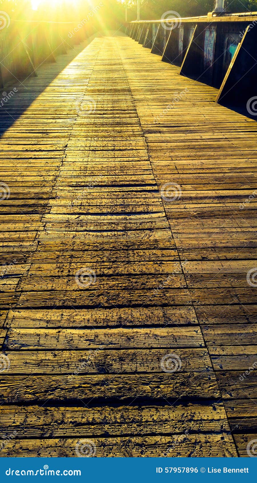 Golden walkway stock photo. Image of coloured, wood, gold - 57957896