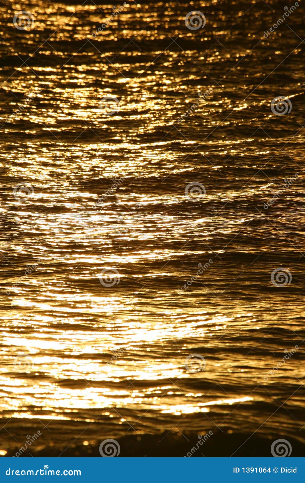 Golden water stock photo. Image of ocean, golden, reflection - 1391064