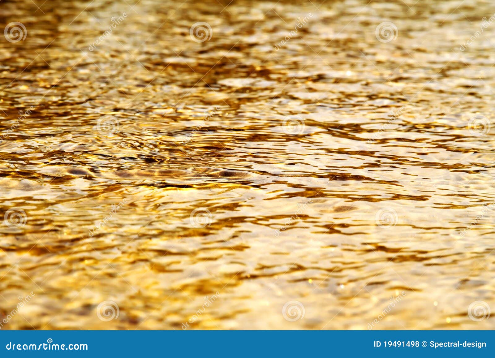 Golden Water stock photo. Image of stream, america, flow - 19491498
