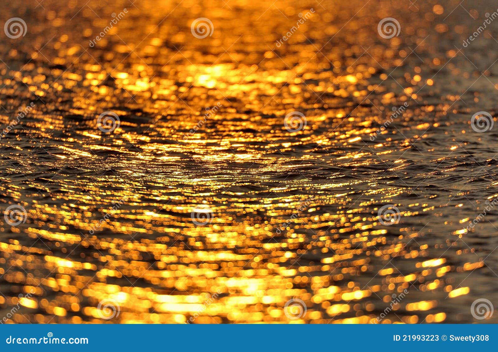 Golden water stock image. Image of nature, gold, sunset - 21993223