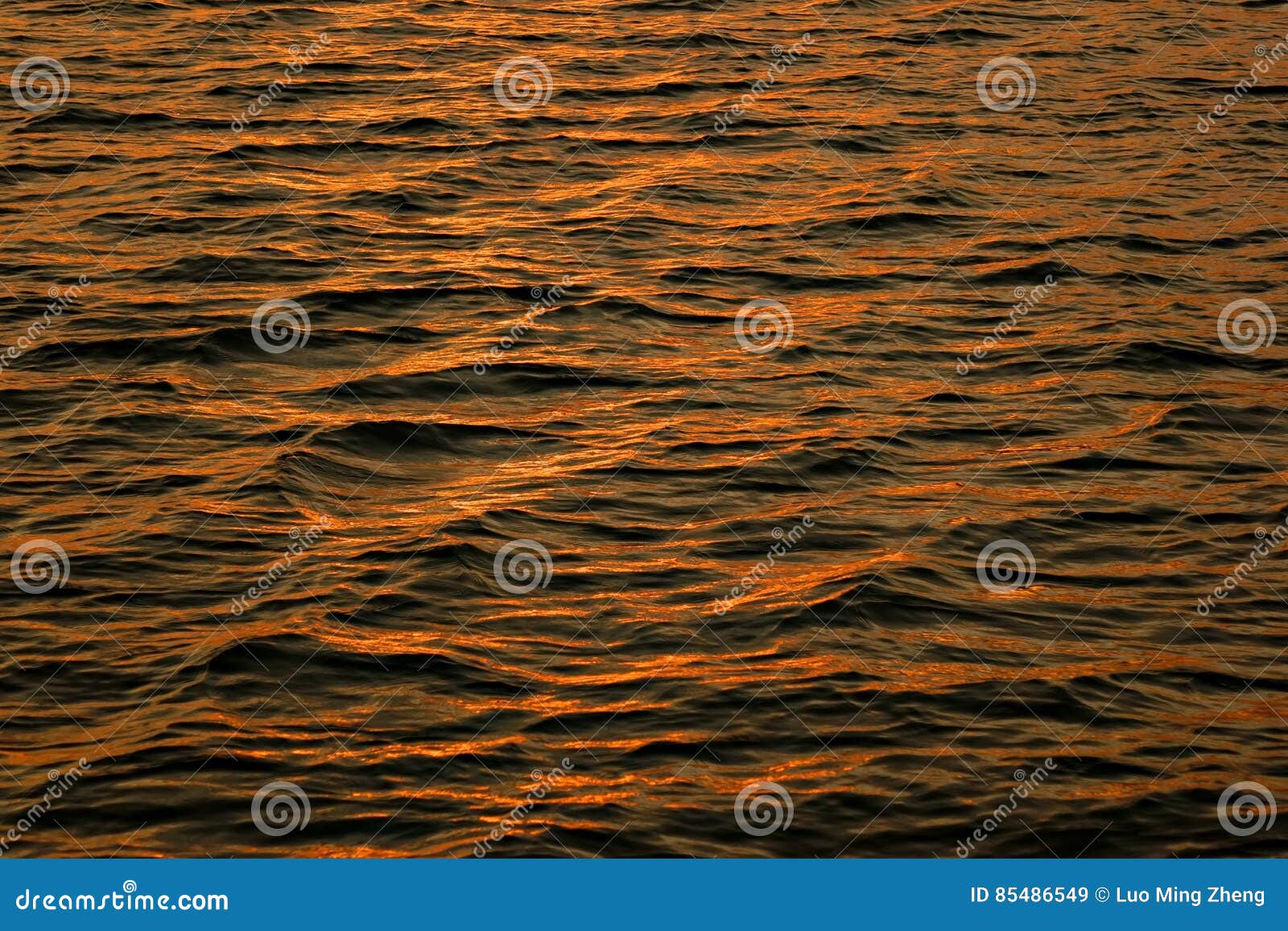 Golden water stock image. Image of dusk, coast, gold - 85486549