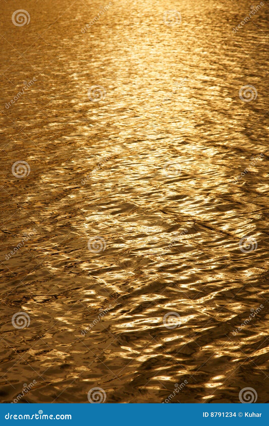 Golden water Background stock photo. Image of pond, flowing - 8791234