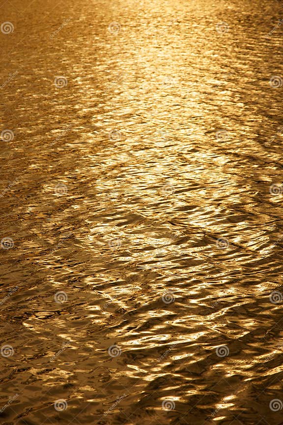 Golden water Background stock photo. Image of pond, flowing - 8791234