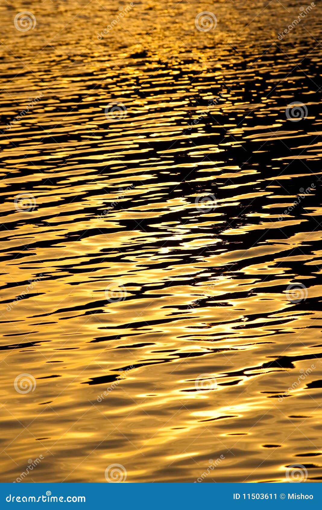 Golden water reflection stock image. Image of lake, surface - 11503611