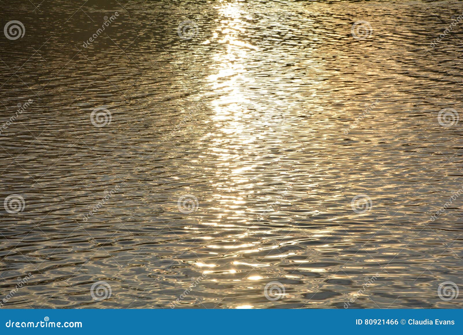 Golden Water at the Sundown in the Lake Stock Photo - Image of nature ...