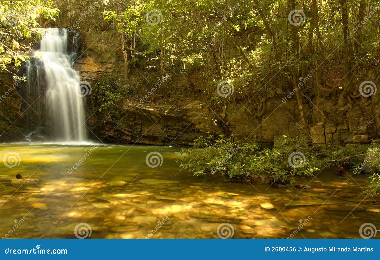 Golden waterfall stock photo. Image of waterfall, forrest - 2600456