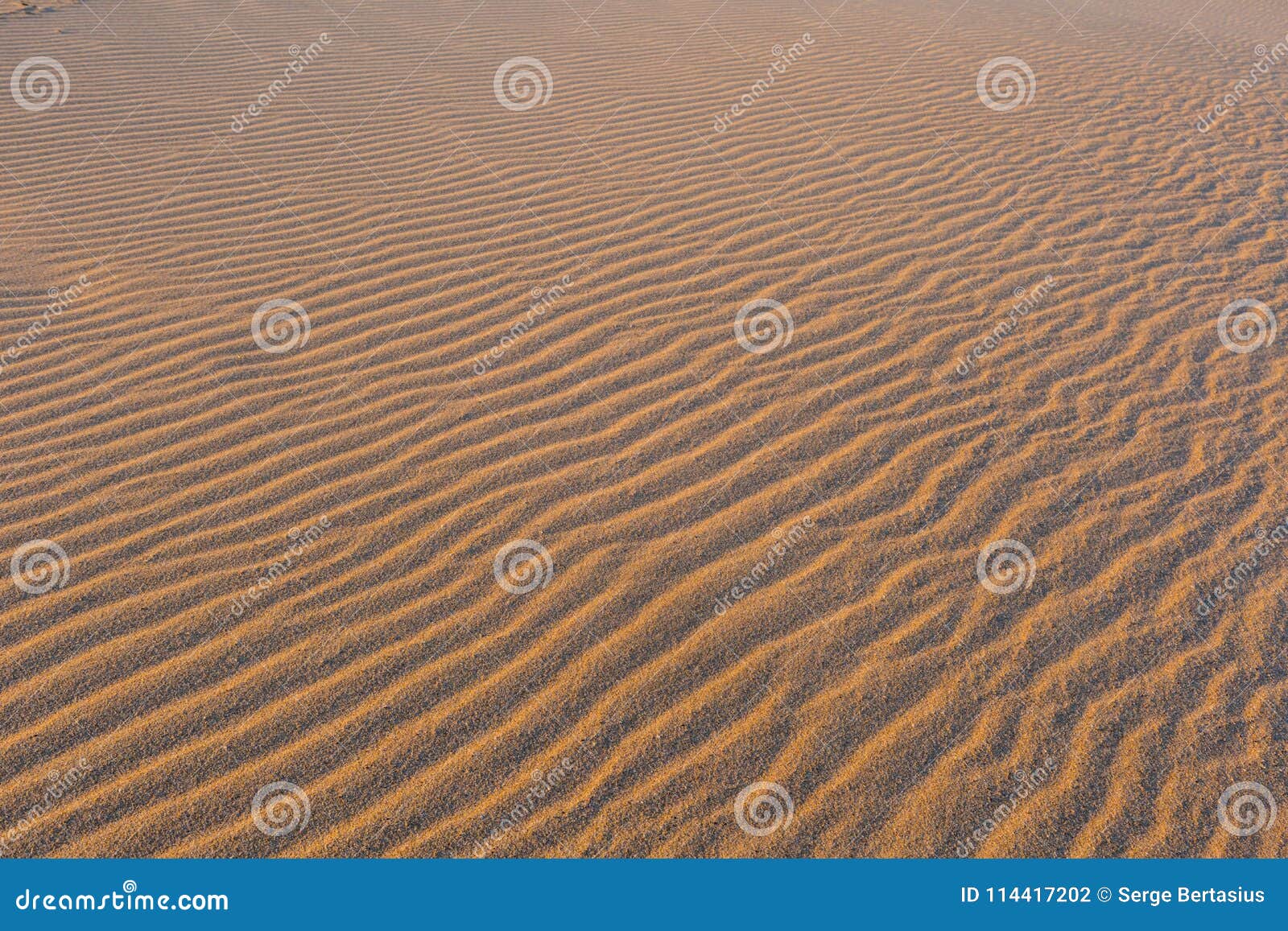 Golden Wavy Sand Texture Pattern Structure, Lit by Morning Sun Stock ...