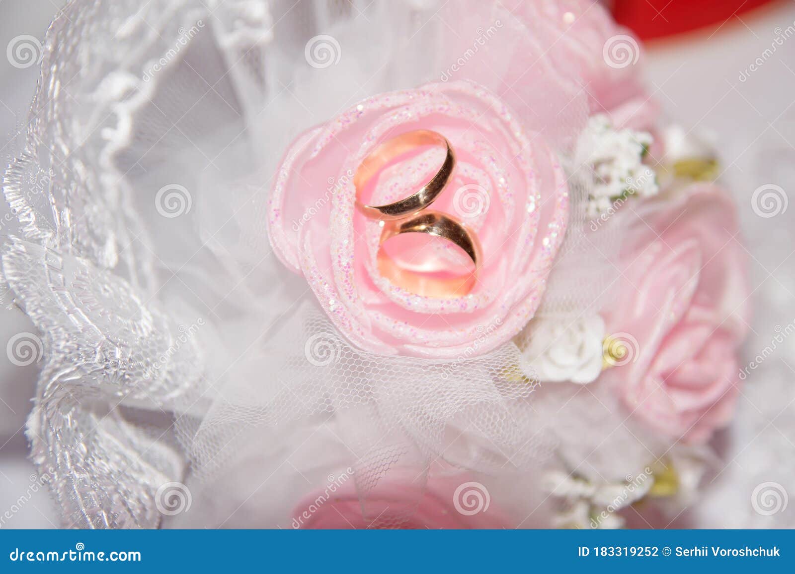 Golden Wedding Rings on a Pink Rose Stock Photo - Image of engagement ...