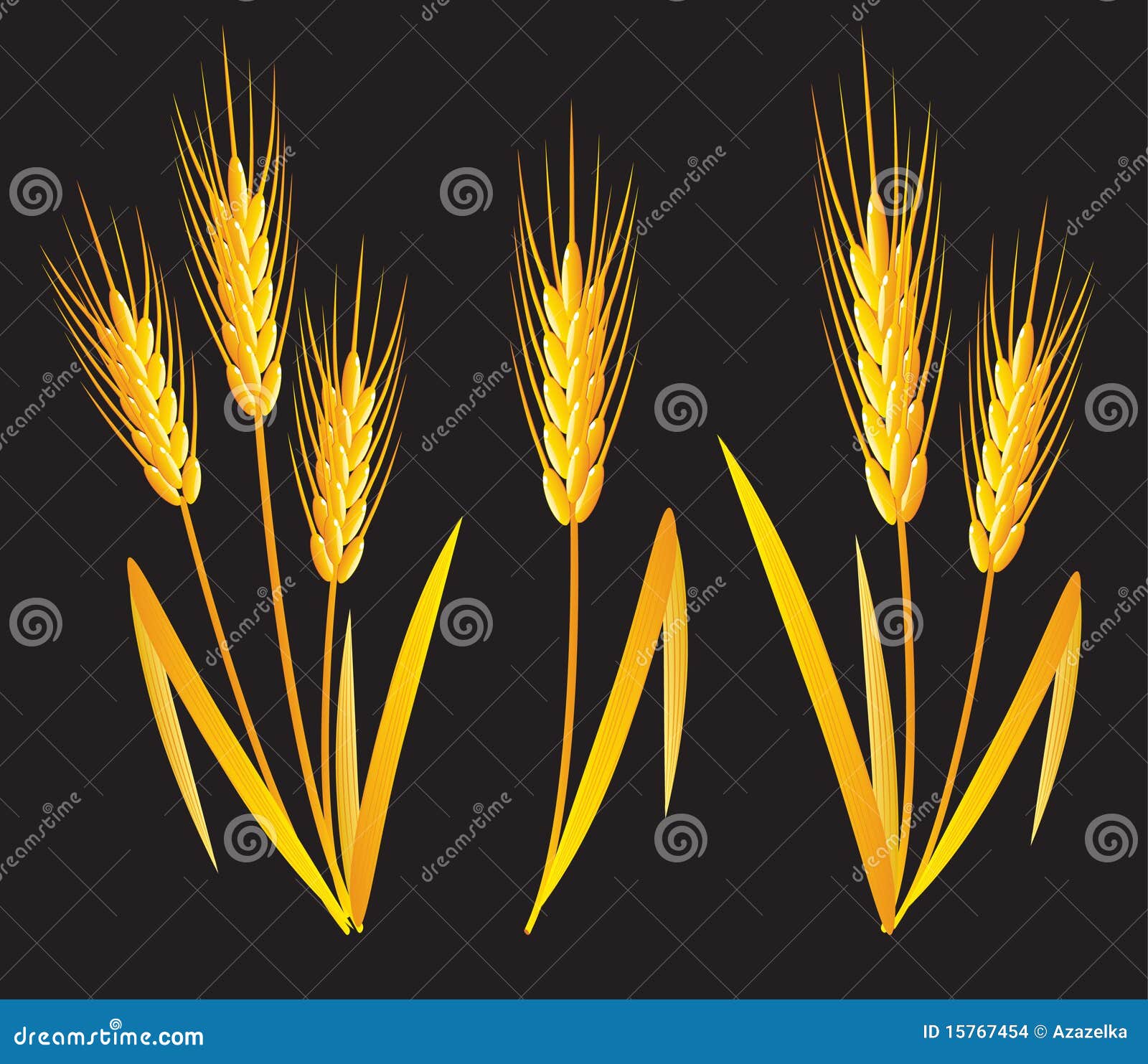 Golden wheat stock vector. Illustration of crop, simbol - 15767454