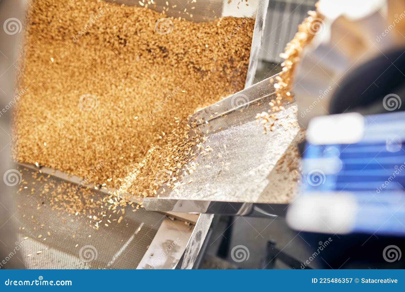 Golden Wheat Grains Sorting and Drying in the Machine Stock Image ...