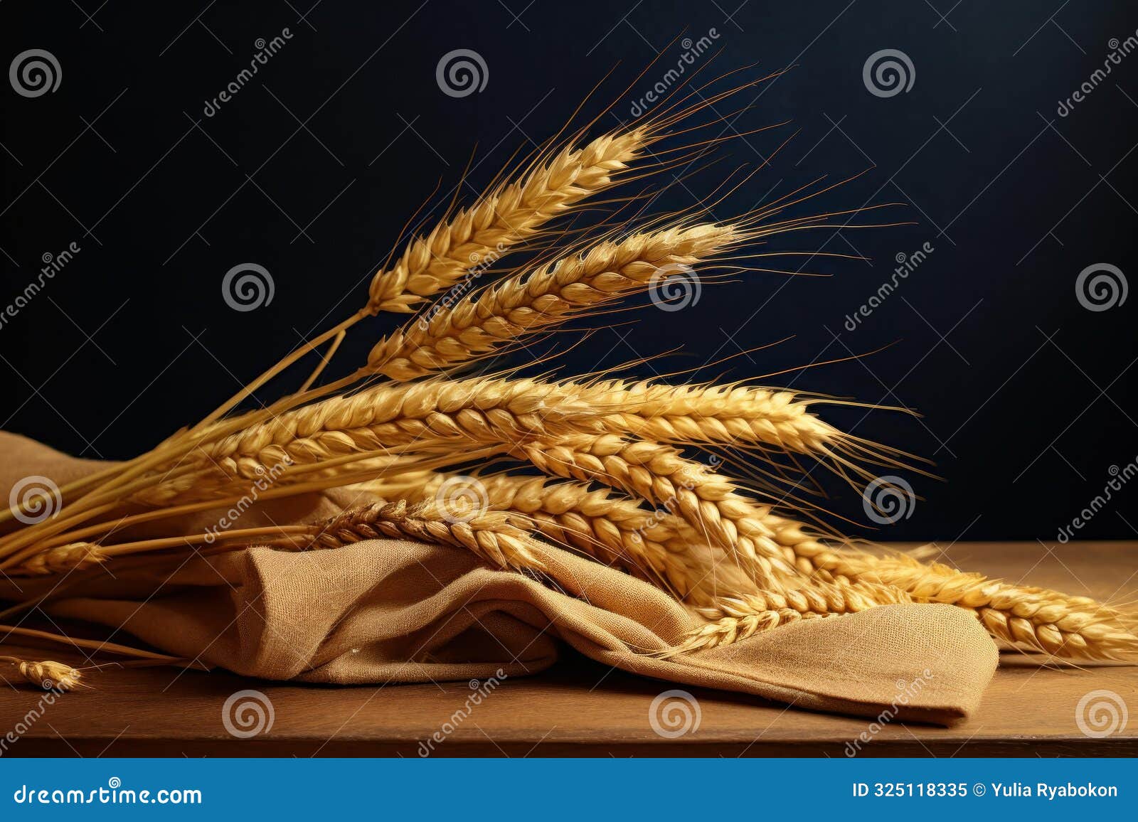 Golden Wheat Sheaves on Dark Background Stock Image - Image of golden ...