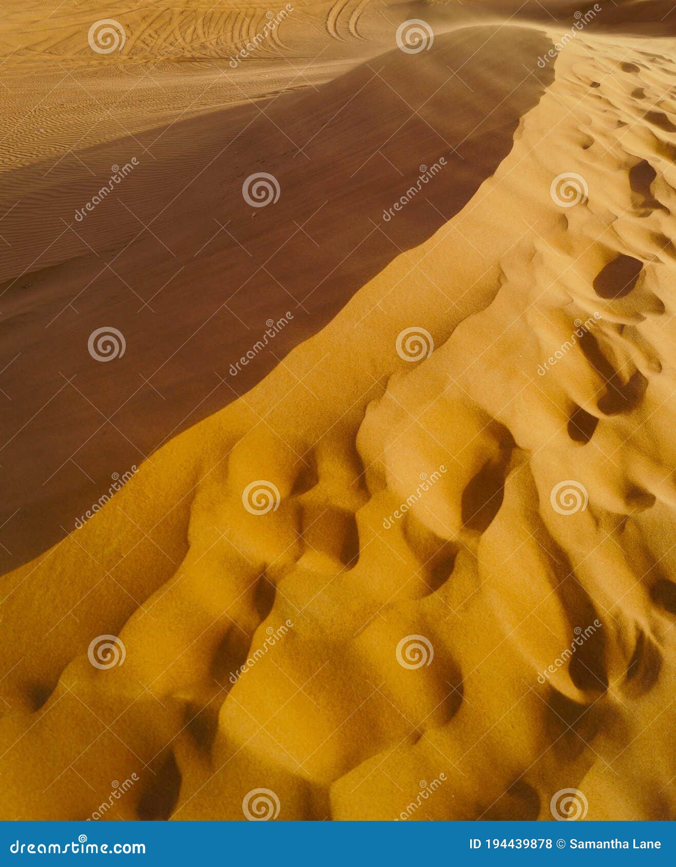 Wind Formed Ridges In The Desert Dunes, Dubai Stock Photography ...