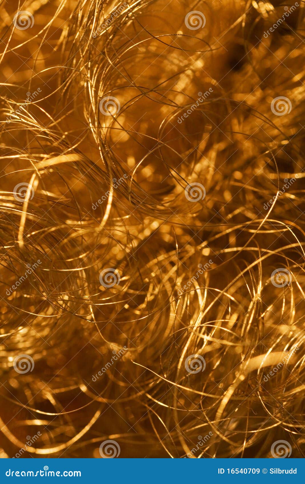Golden wire stock image. Image of curve, lifestyle, curved - 16540709