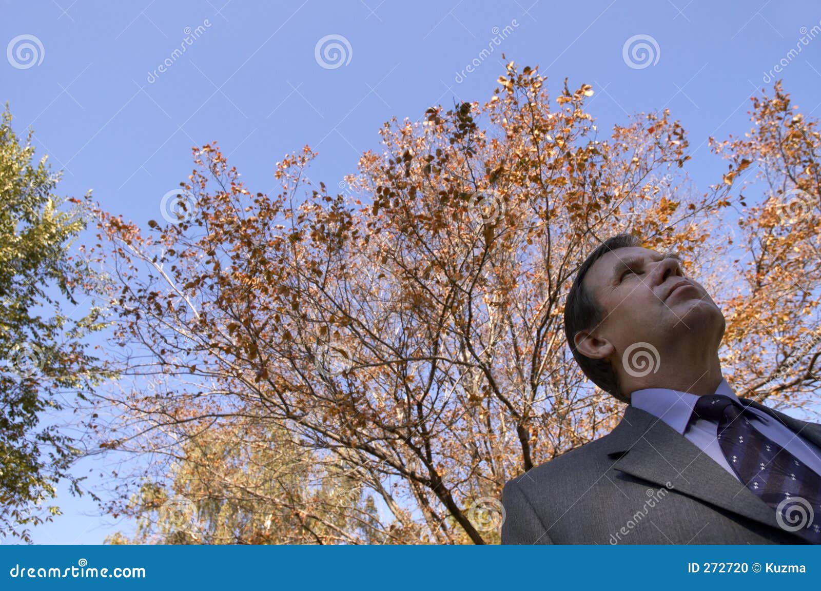 Golden wisdom stock photo. Image of leader, think, designing - 272720