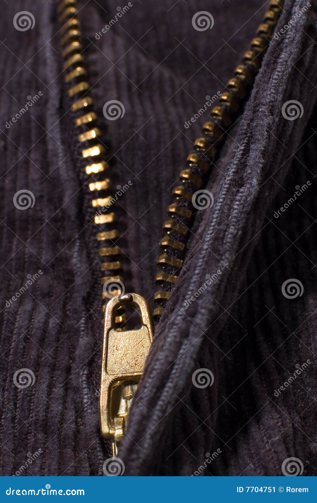 Golden zipper stock image. Image of accessories, clothes - 7704751