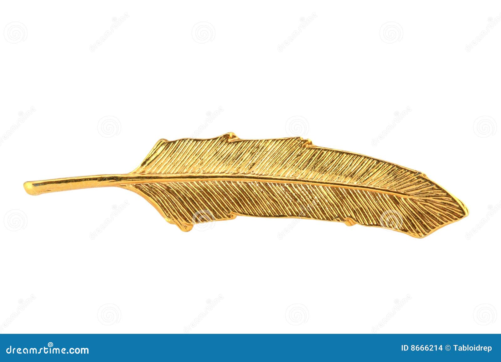 Goldene Feder stockfoto. Bild von rustikal, kostspielig - 8666214