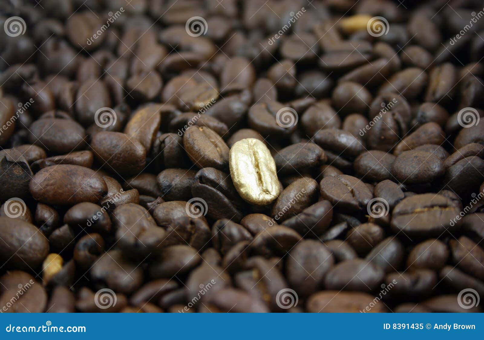 Goldene Kaffeebohne stockbild. Bild von espresso, bestandteil - 8391435
