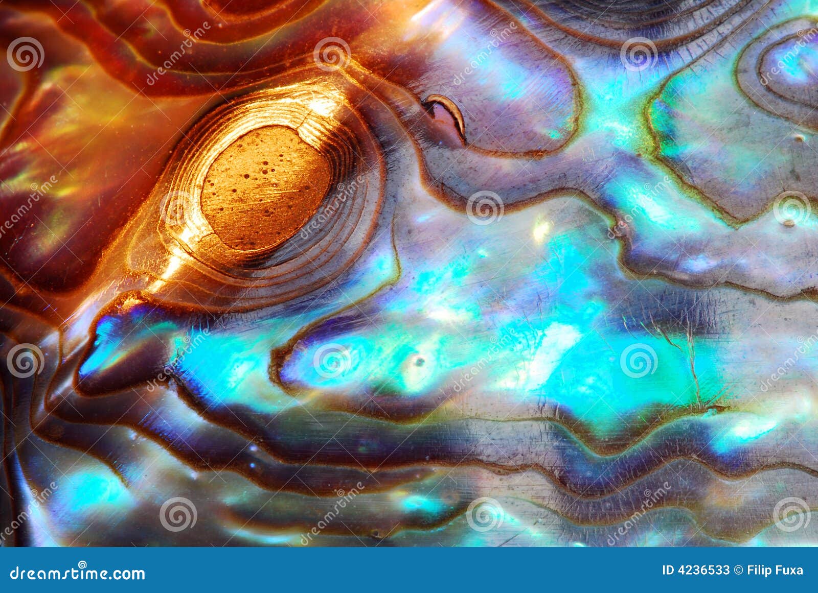 Goldene Perle stockbild. Bild von muster, glänzend, luxus - 4236533