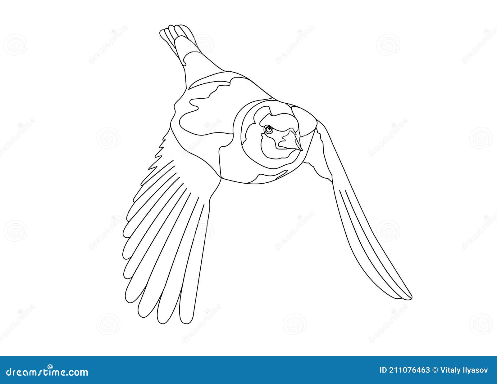 Goldfinch Line Drawing in Vector Stock Vector - Illustration of ...