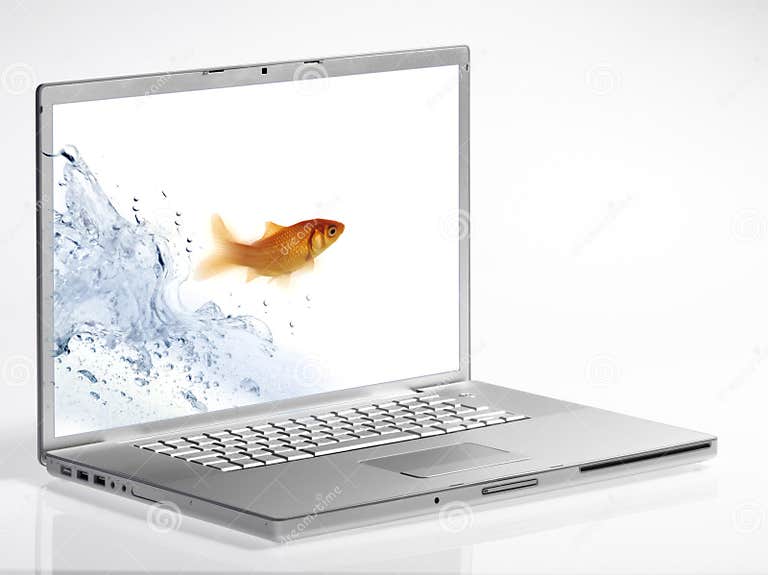 Goldfish stock image. Image of gold, network, data, advice - 8423217