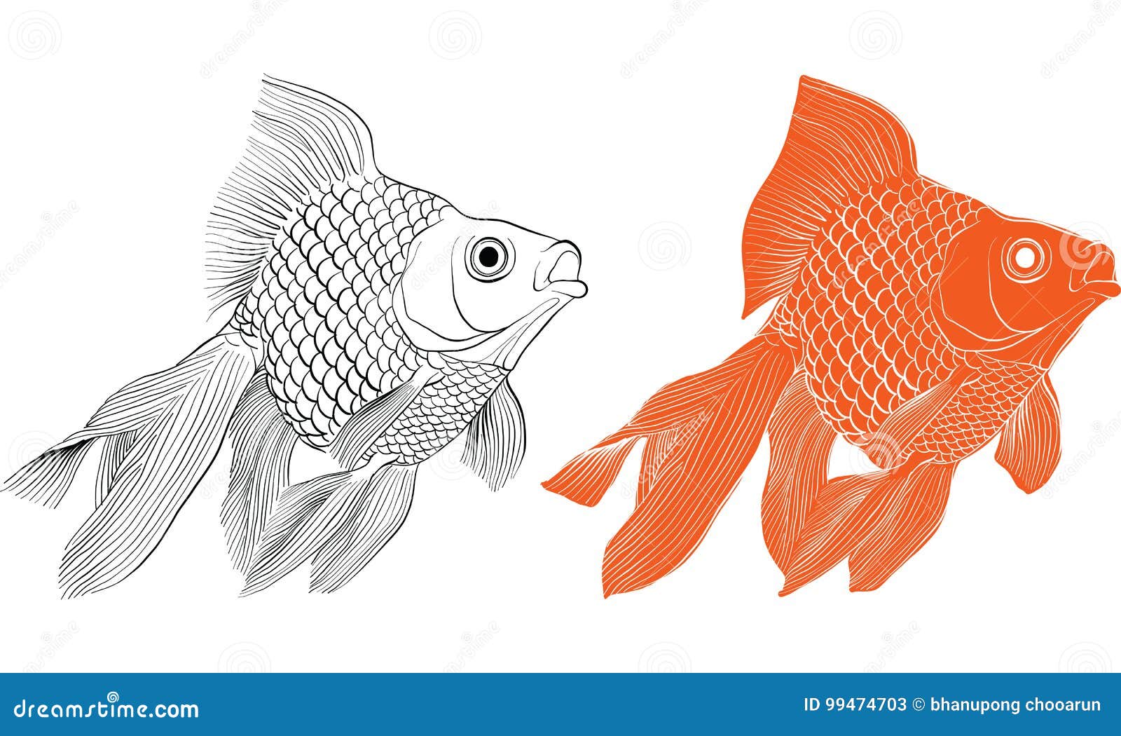 Goldfish drawing vector stock vector. Illustration of halloween - 99474703