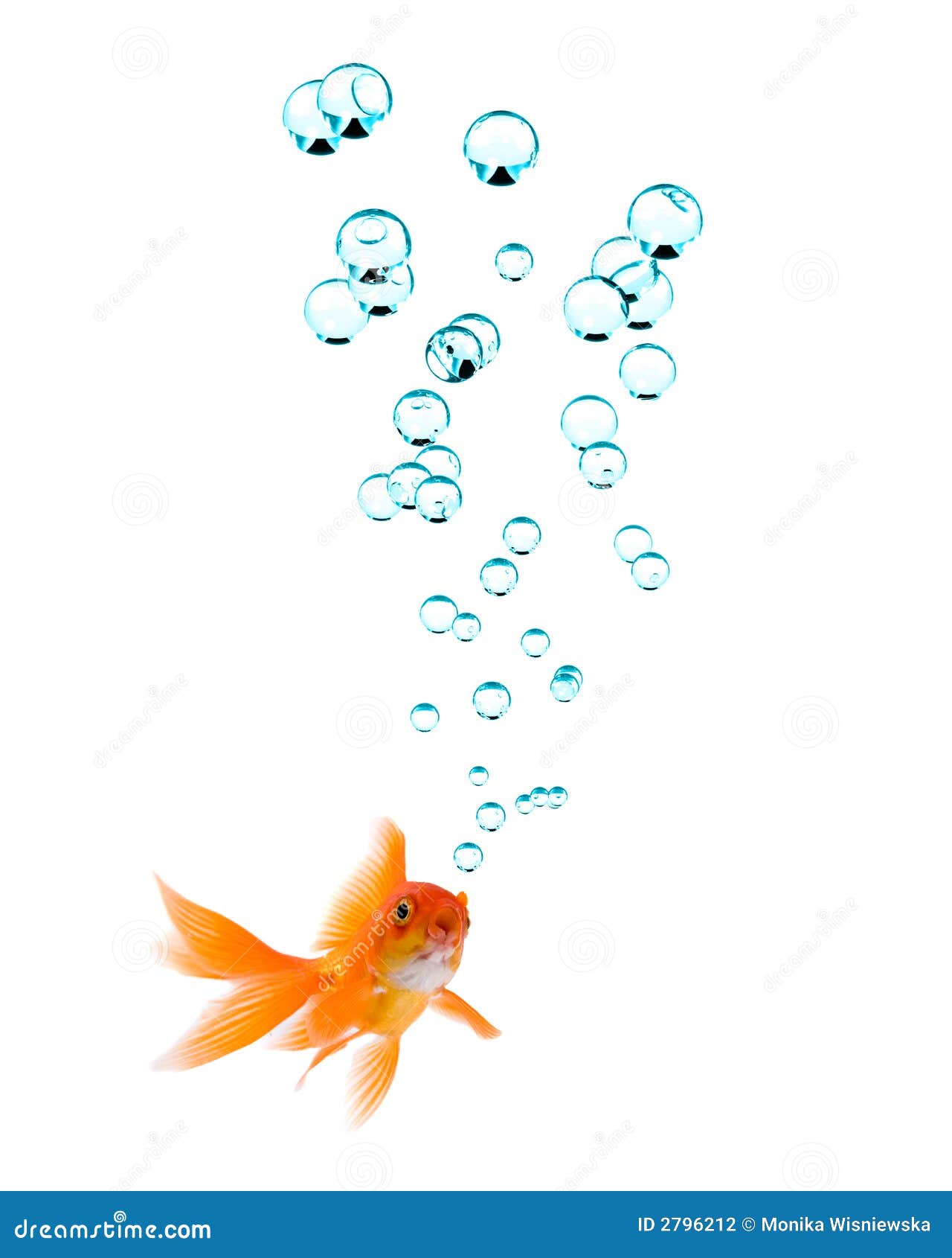 Goldfish e bolle fotografia stock. Immagine di macro, pesci - 2796212