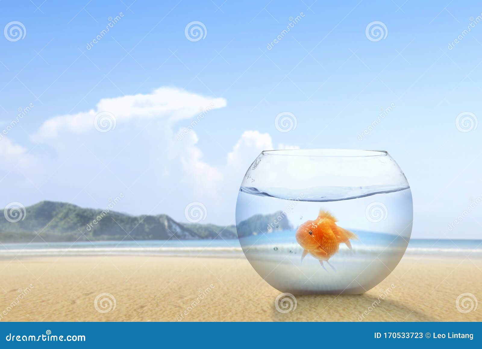 Goldfish in the Fishbowl on the Sandy Beach Stock Image - Image of gold ...