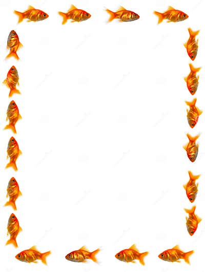 Goldfish frame stock illustration. Illustration of orange - 4089093