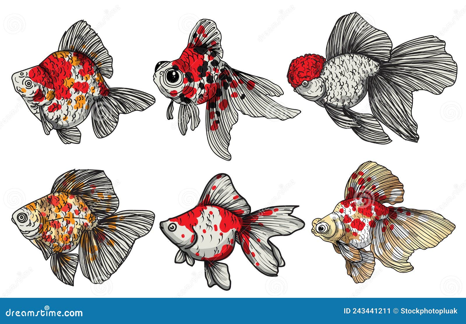 Goldfish Hand Drawing Set Vector Illustration Isolated On White ...