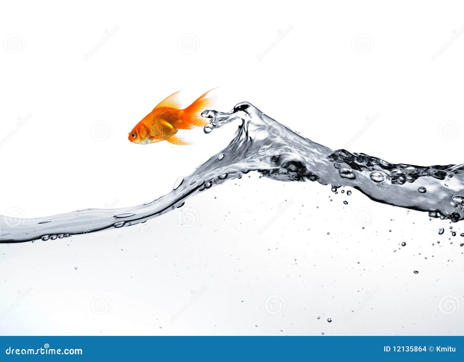 Goldfish Jumping Out of the Water Stock Photo - Image of move, flow ...