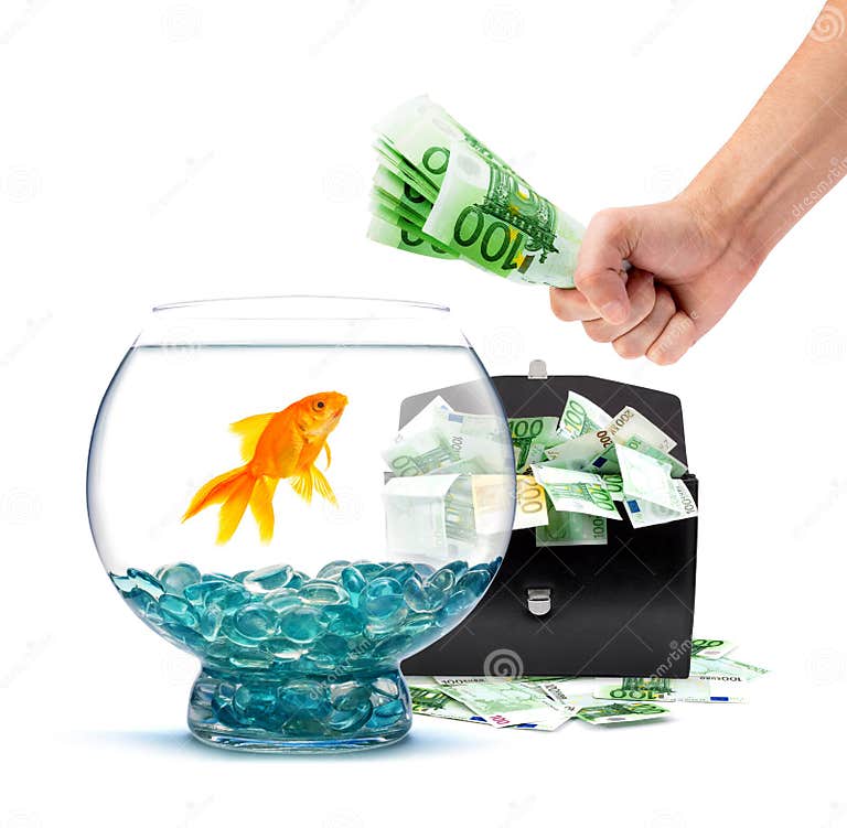 Goldfish with money stock image. Image of goldfish, inflation - 14171449