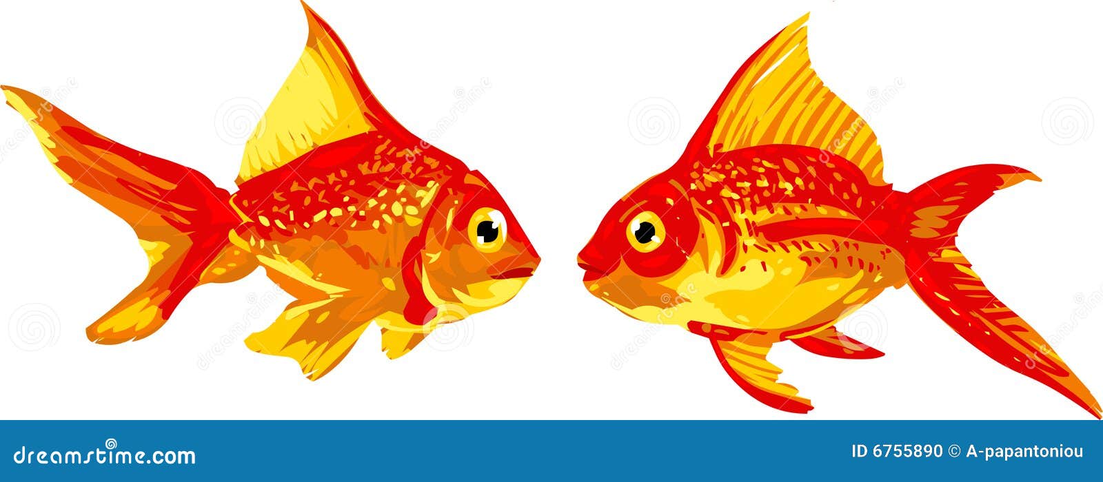 Goldfish Pair stock vector. Illustration of gold, swimming - 6755890