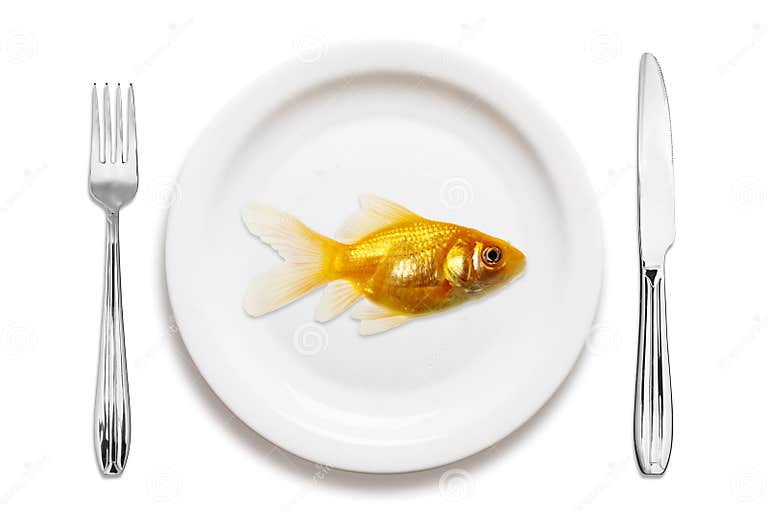 Goldfish on a plate stock image. Image of silverware, fork - 3533159