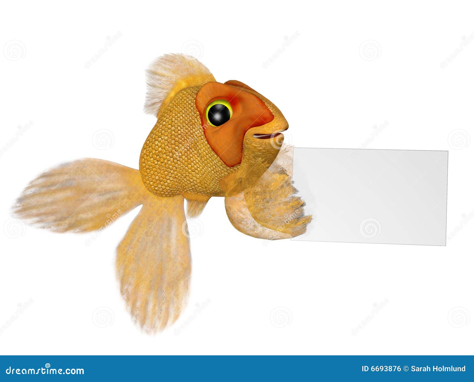 Goldfish with a sign stock illustration. Illustration of blank - 6693876