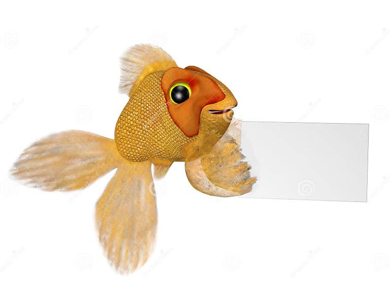 Goldfish with a sign stock illustration. Illustration of blank - 6693876