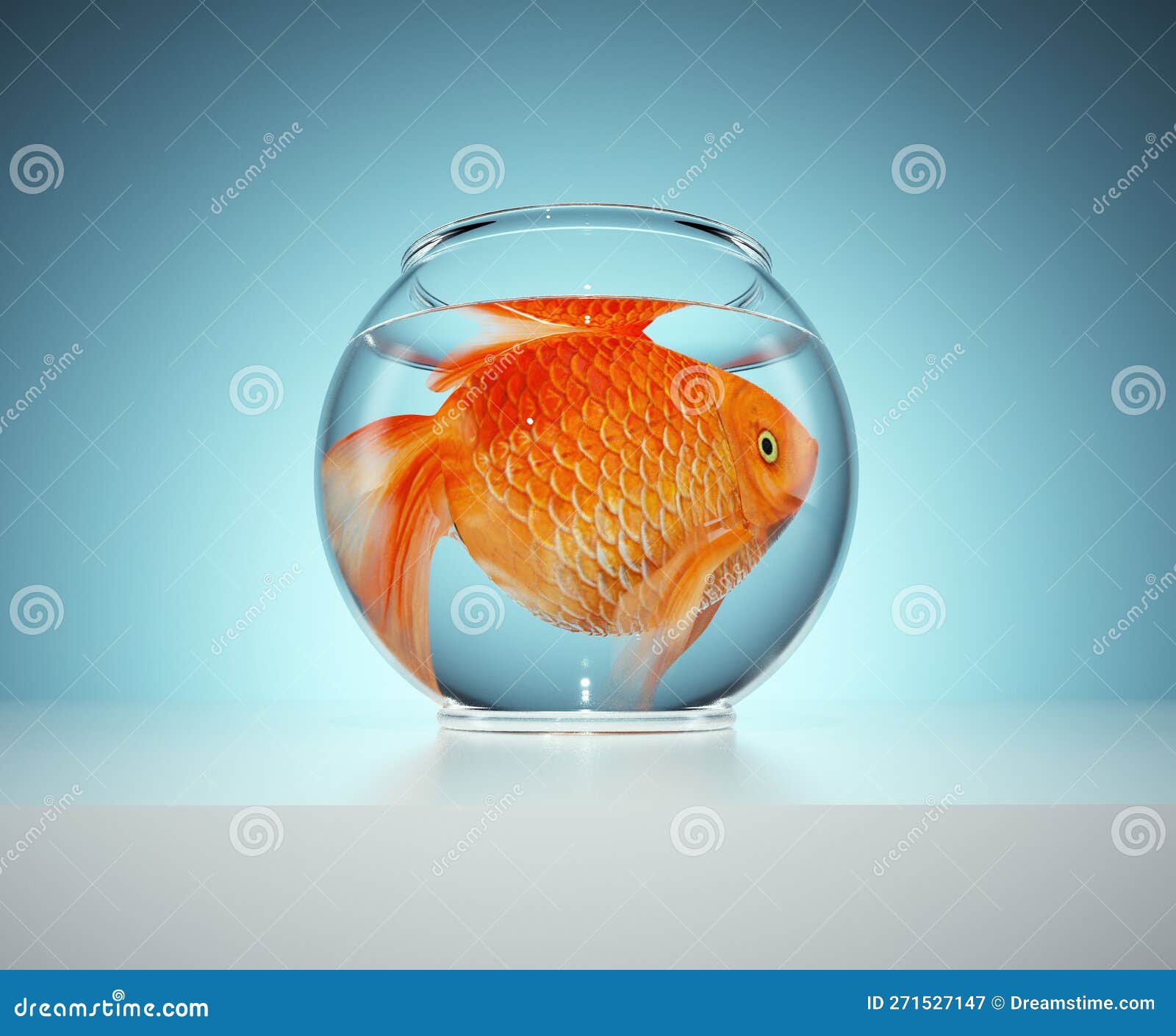 Concept Of Captivity And Freedom, Bird Sits In Cage And Bird Flies Out ...