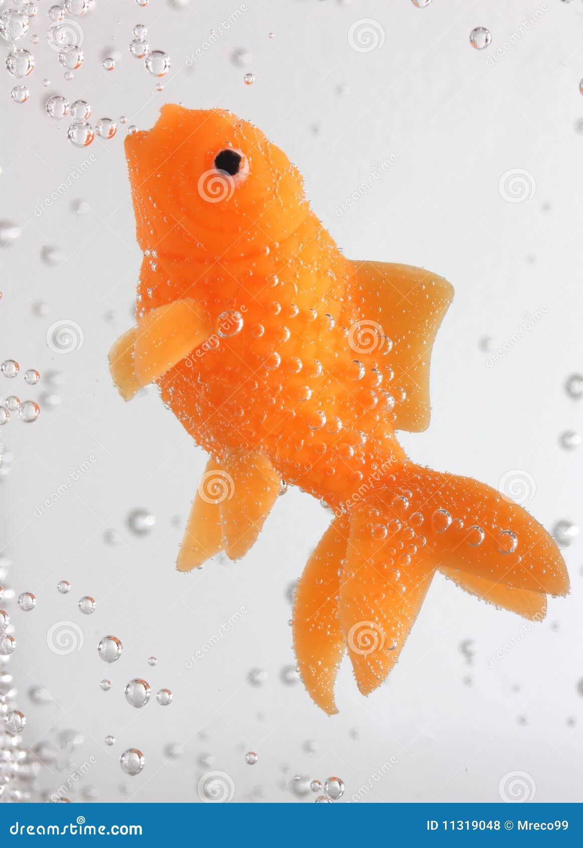 Goldfish Swimming with Bubbles Stock Photo - Image of goldfish, tail ...