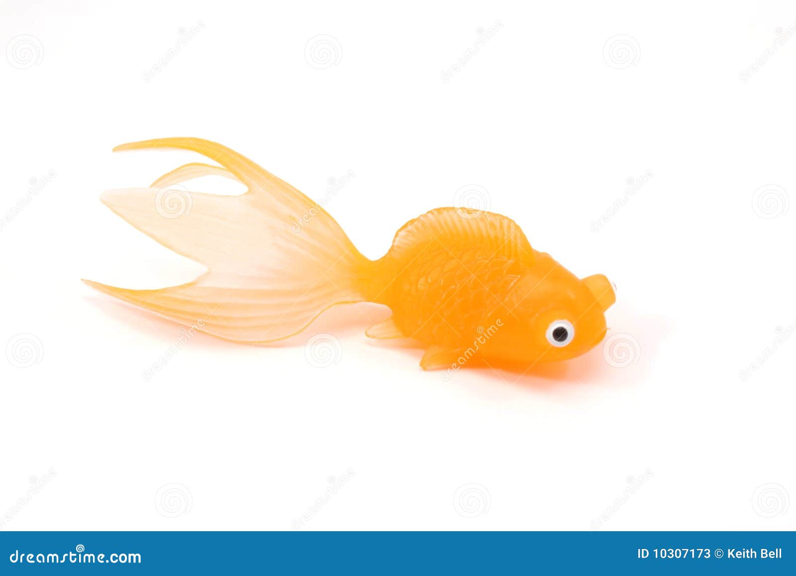 164 Goldfish Toy Stock Photos - Free & Royalty-Free Stock Photos from ...