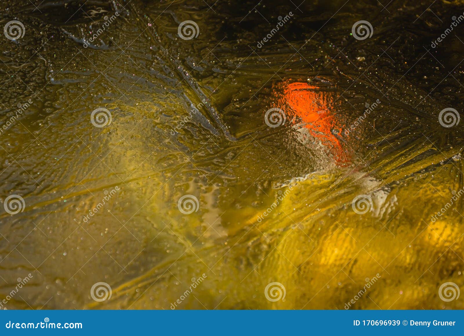 A Goldfish Under an Ice Layer Stock Image - Image of water, yellow ...