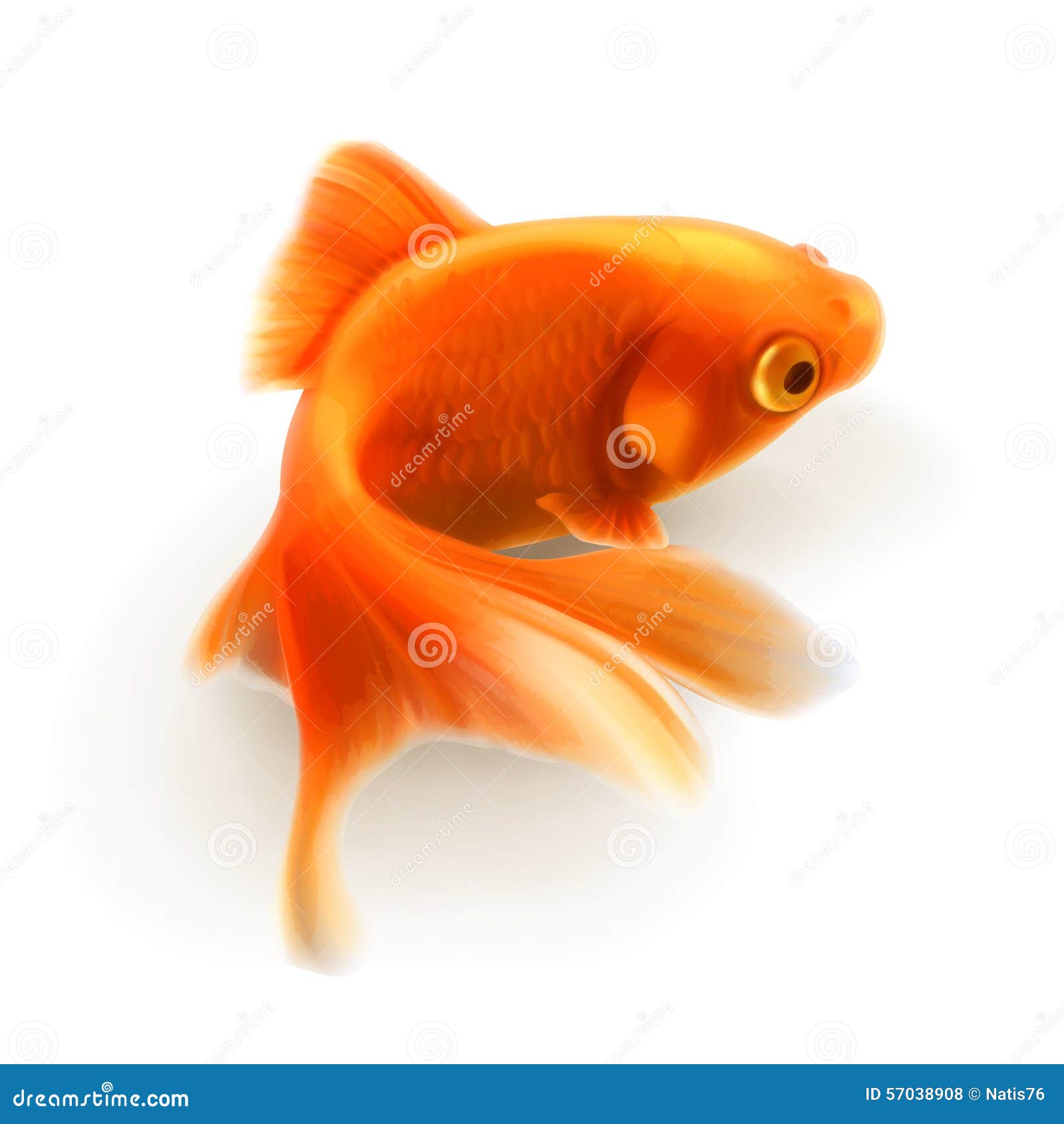 Goldfish Vector Illustration Stock Vector - Illustration of icon ...