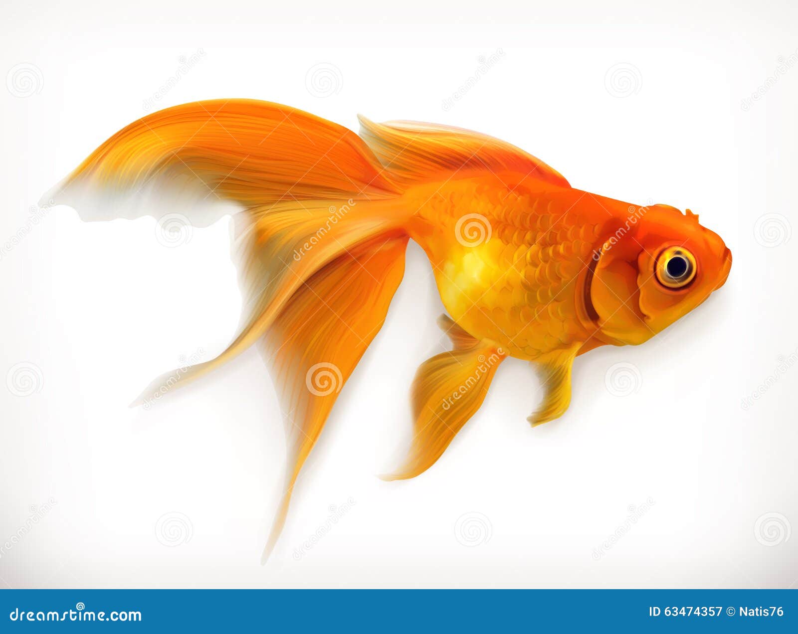 Goldfish Vector Illustration Stock Vector - Image: 63474357