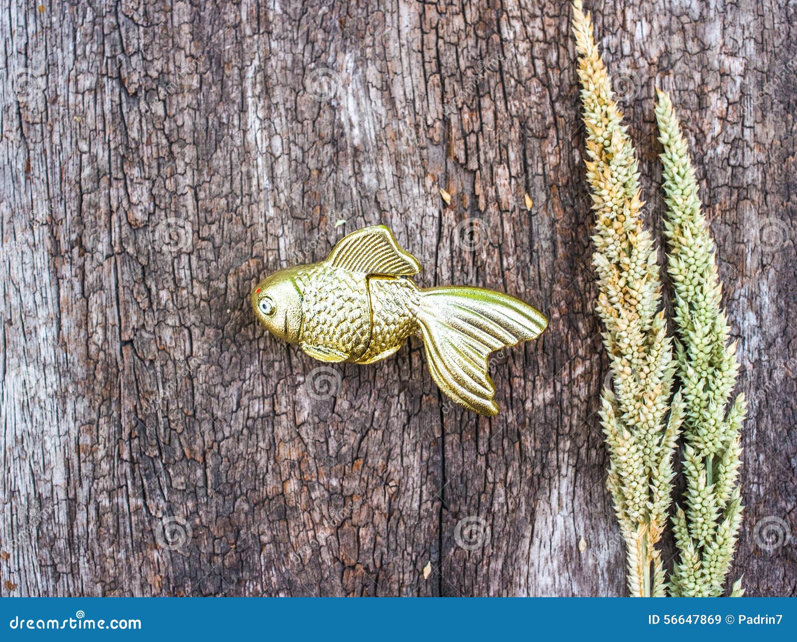 Goldfish Wood Texture Stock Photos - Free & Royalty-Free Stock Photos ...