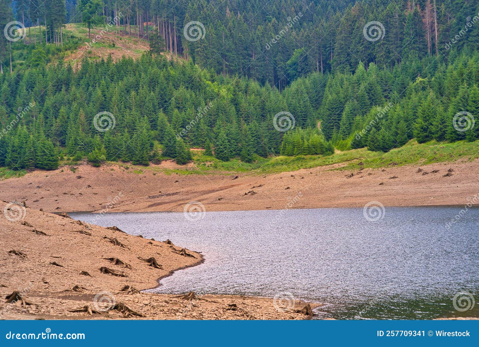 Goldisthal Pumped Storage Plant in the Thuringian Forest, Germany Stock ...