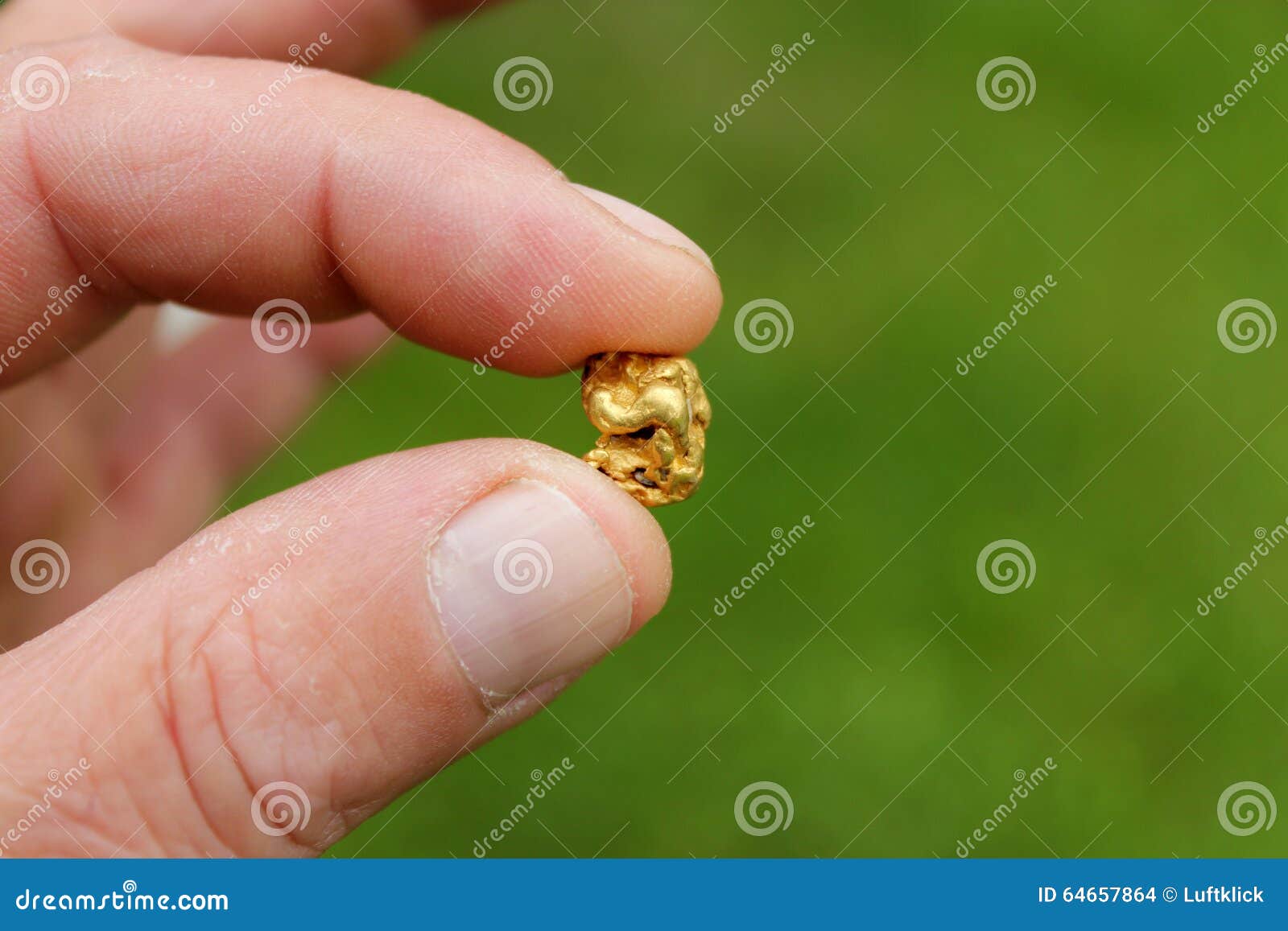 Gold stock photo. Image of panning, klondike, goldpan - 64657864