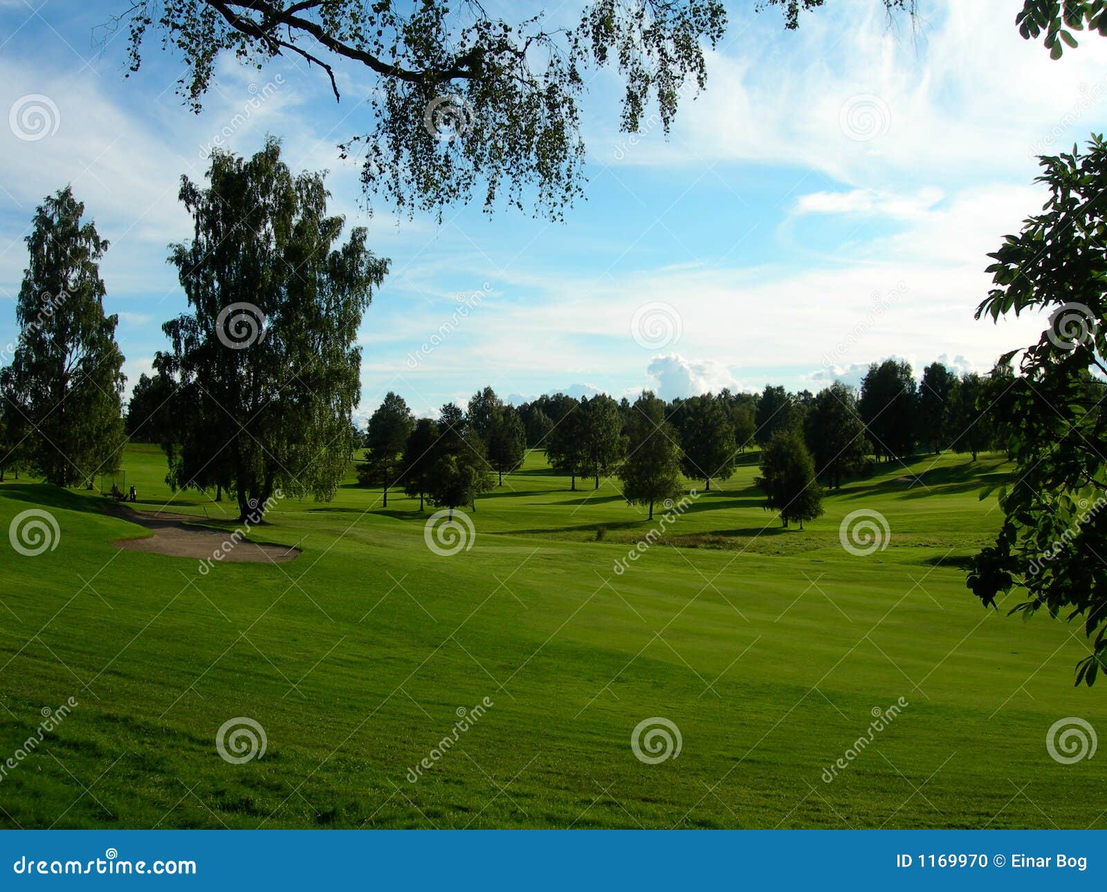 Golf stock photo. Image of sport, park, garden, oslo, grass - 1169970